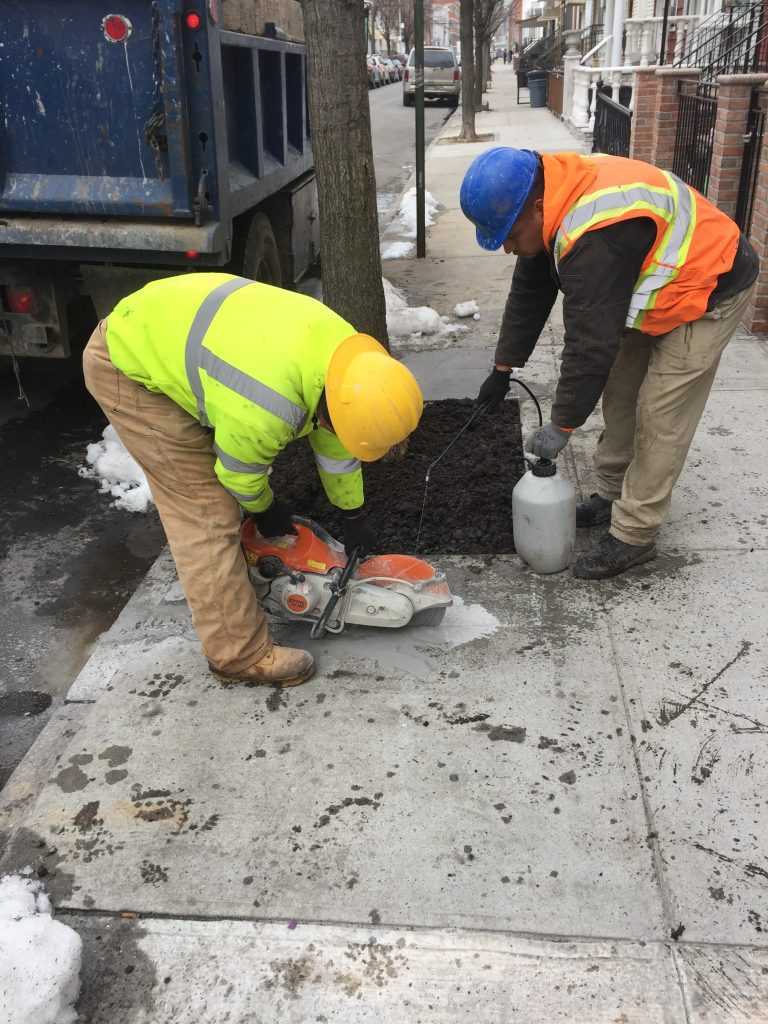 Tree Trust Tree Pits - Brooklyn 1112 - Biordi Concrete